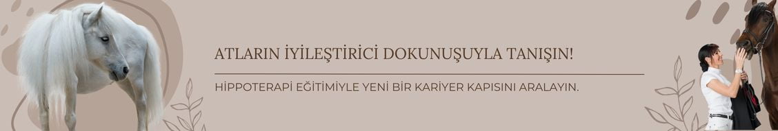 Hippoterapi Eğitimi: Profesyonel Bir Terapist Olun!